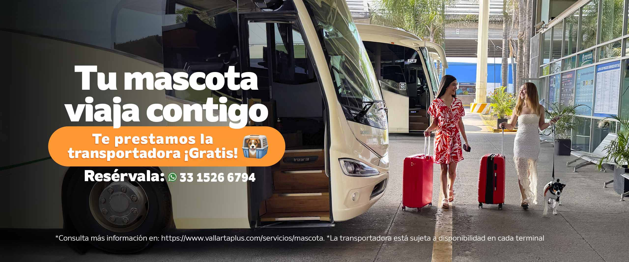 Vallarta Plus - Comprar boletos